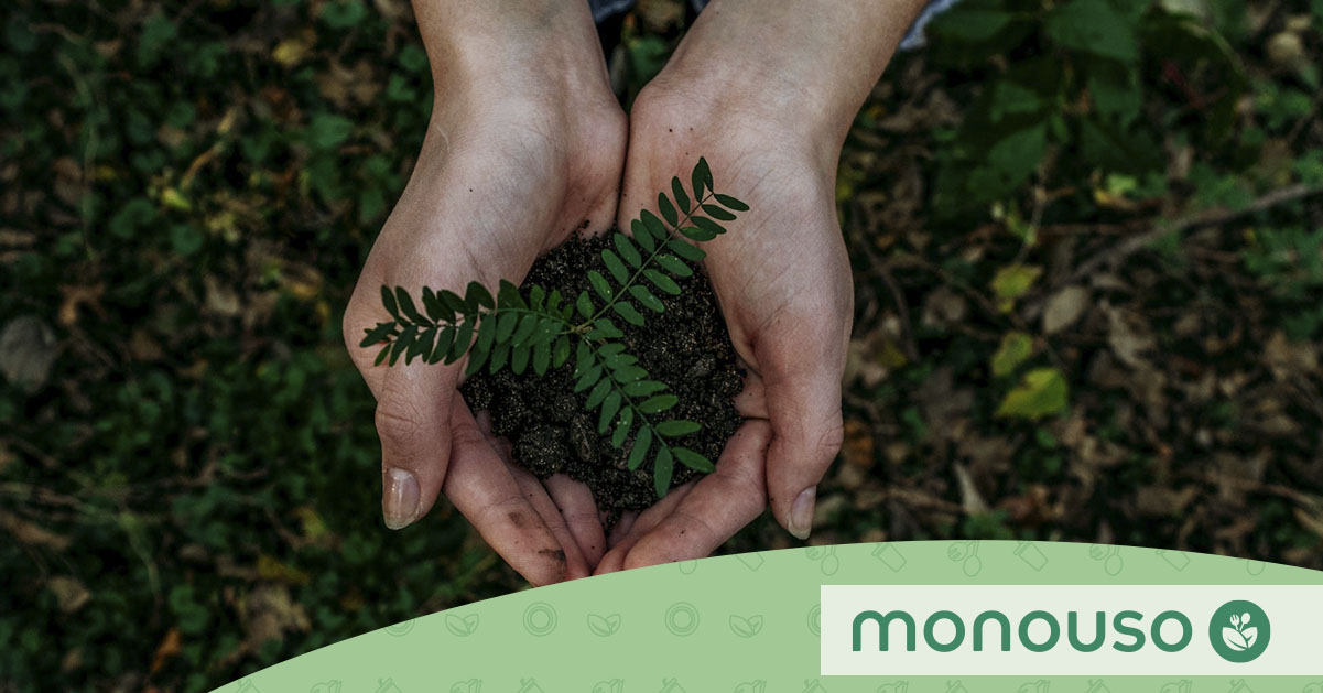 Sustainable- Monouso Blog